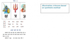 Structure and Functions of Primers – Curriculum and Material Development