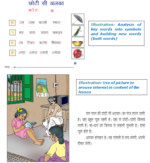 Structure and Functions of Primers – Curriculum and Material Development