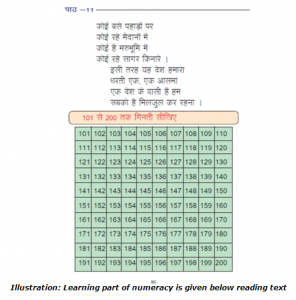 Structure and Functions of Primers – Curriculum and Material Development