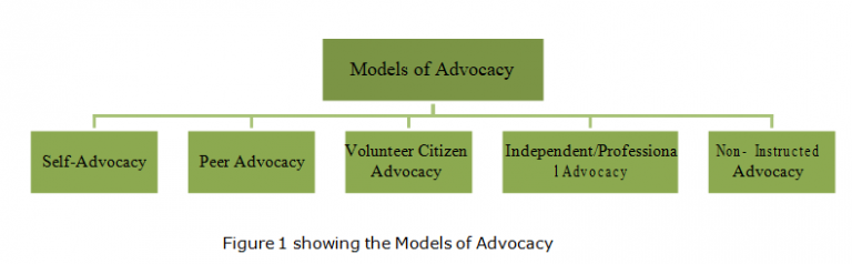 Advocacy and Action – Community Organization & Development in the ...