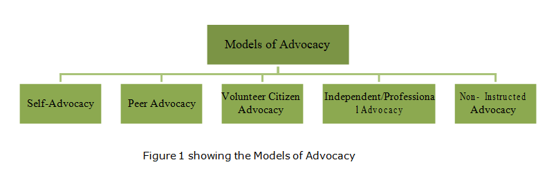 Advocacy and Action – Community Organization & Development in the ...