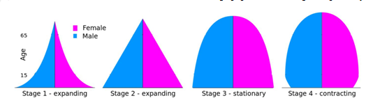 Demography and Anthropological Demography – Physical and Biological ...