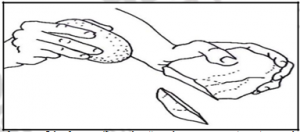 Homo habilis – Physical and Biological : Anthropology