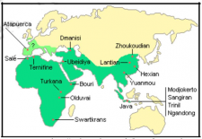 Homo erectus – Physical and Biological : Anthropology