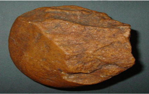 Homo erectus – Physical and Biological : Anthropology