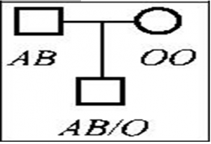Branches of Human Genetics – Physical and Biological : Anthropology