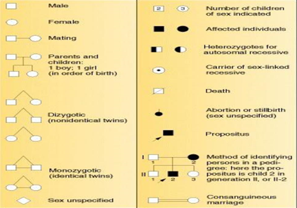 Methods of Studying Human Genetics – Physical and Biological : Anthropology