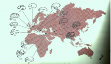 Neanderthal – Physical and Biological : Anthropology
