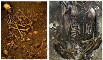 Neanderthal – Physical and Biological : Anthropology