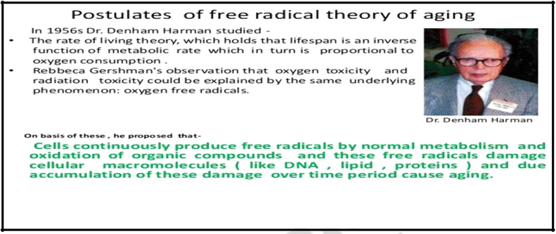 Theories of Aging – Physical and Biological : Anthropology