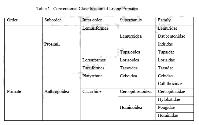 Man’s Place in Animal Kingdom – Physical and Biological : Anthropology