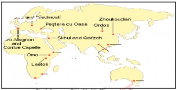 Hominization Process – Physical and Biological : Anthropology