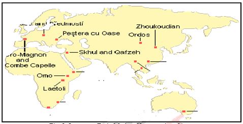 Hominization Process – Physical and Biological : Anthropology