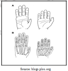 Emergences of Modern Human and Dispersal – Physical and Biological ...