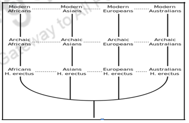 Emergences of Modern Human and Dispersal – Physical and Biological ...