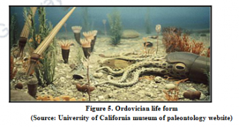 Geological Time Scale – Physical and Biological : Anthropology
