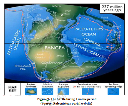 Geological Time Scale – Physical and Biological : Anthropology
