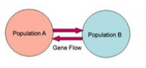 Causes of Human Variation – Physical and Biological : Anthropology