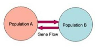 Causes of Human Variation – Physical and Biological : Anthropology