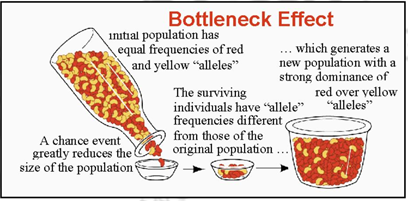 Causes of Human Variation – Physical and Biological : Anthropology