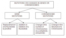 Causes of Human Variation – Physical and Biological : Anthropology