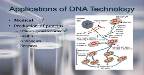 DNA Technologies and Medicine – Physical and Biological : Anthropology