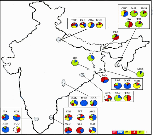 Indian Population Structure – Physical and Biological : Anthropology
