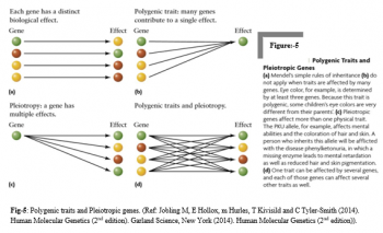 Causes of Human Variation – Physical and Biological : Anthropology