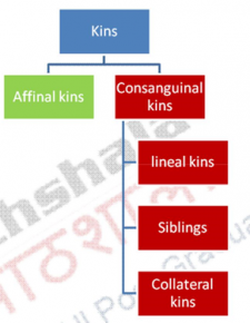 Kinship: Descent and Alliance KinshipTerms – Social Cultural Anthropology