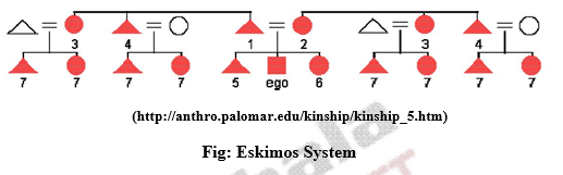 Kinship: Descent and Alliance KinshipTerms – Social Cultural Anthropology