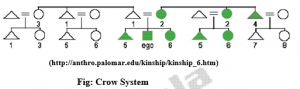 Kinship: Descent and Alliance KinshipTerms – Social Cultural Anthropology