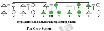 Kinship: Descent and Alliance KinshipTerms – Social Cultural Anthropology