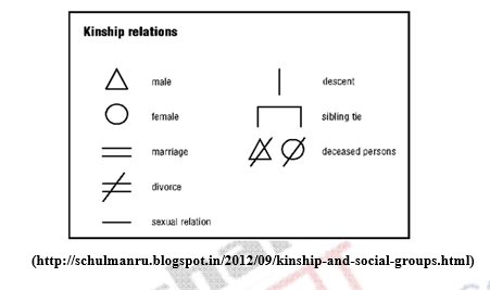 Kinship: Descent and Alliance KinshipTerms – Social Cultural Anthropology
