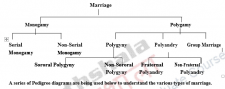 Marriage: Definition Type – Social Cultural Anthropology