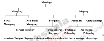 Marriage: Definition Type – Social Cultural Anthropology