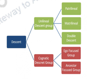 Kinship: Descent and Alliance KinshipTerms – Social Cultural Anthropology