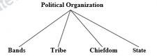 Types of Political Organization – Social Cultural Anthropology