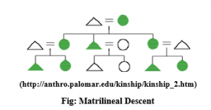 Kinship: Descent and Alliance KinshipTerms – Social Cultural Anthropology