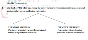 Kinship Studies in India – Social Cultural Anthropology
