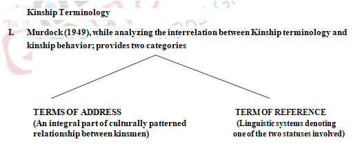Kinship Studies in India – Social Cultural Anthropology