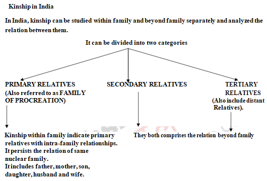 Kinship Studies in India – Social Cultural Anthropology