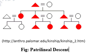Kinship: Descent and Alliance KinshipTerms – Social Cultural Anthropology