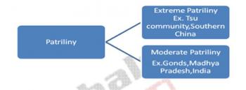 Kinship: Descent and Alliance KinshipTerms – Social Cultural Anthropology