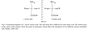 Relative dating methods – Archaeological Anthropology