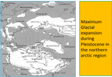 Geological Time Scale – Archaeological Anthropology