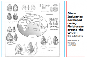 Geological Time Scale – Archaeological Anthropology