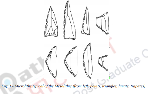 Tool types and techniques of Mesolithic culture – Archaeological ...