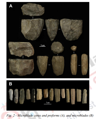 Tool types and techniques of Mesolithic culture – Archaeological ...
