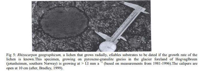 Absolute dating methods – Archaeological Anthropology
