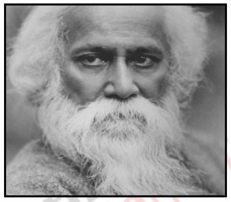 Thinkers On Indian Civilization: Tagore – Indian Anthropology